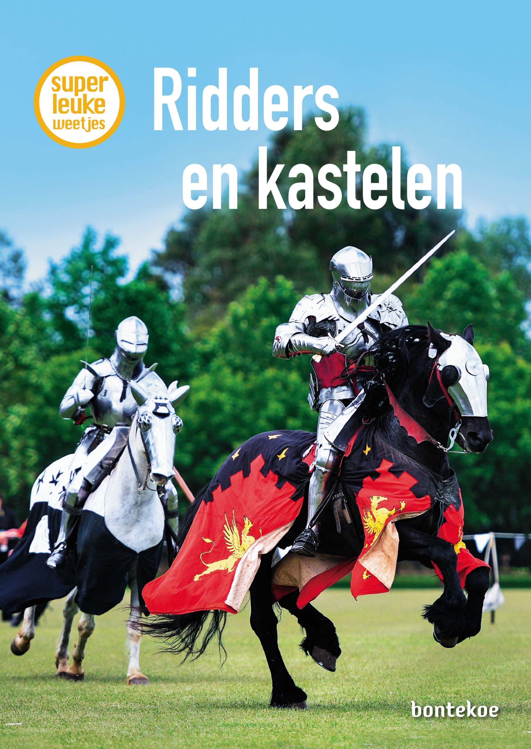 Ridders en kastelen - Uitgeverij Zwijsen